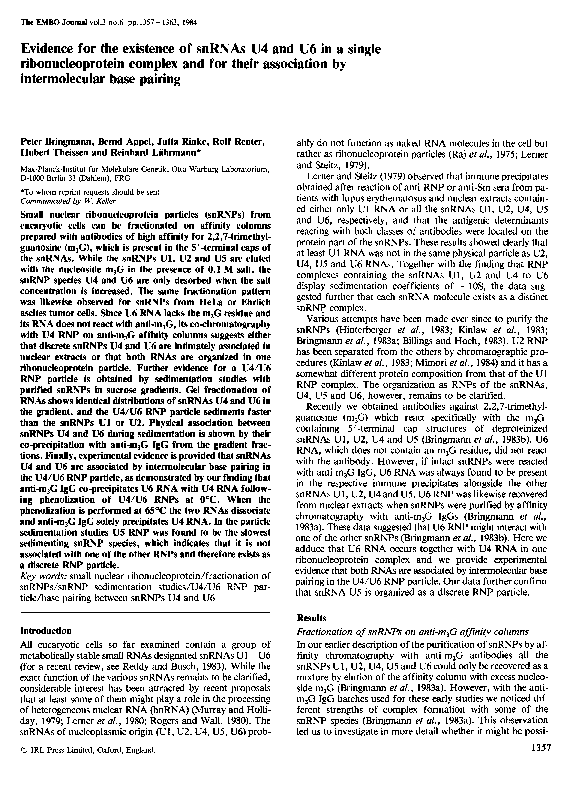(PDF) Evidence for the existence of snRNAs U4 and U6 in a single ribonucleoprotein complex and ...