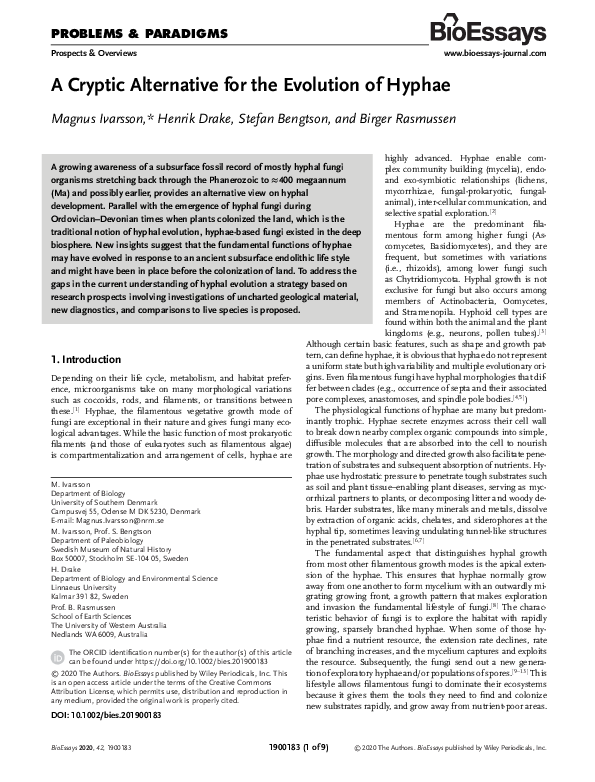 (PDF) A Cryptic Alternative for the Evolution of Hyphae