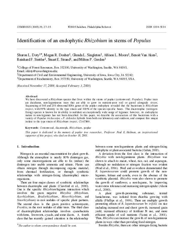 (PDF) Identification of an endophytic Rhizobium in stems of Populus