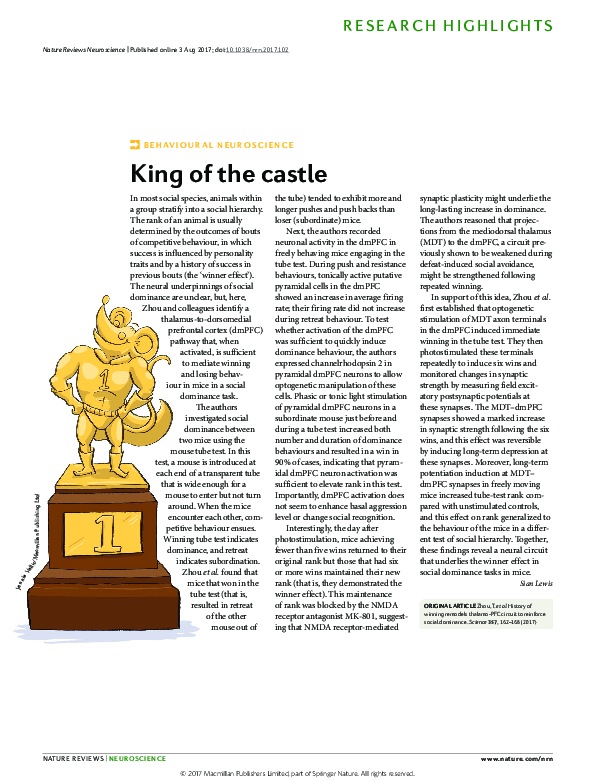 (PDF) King of the Castle | Jason Fité - Academia.edu