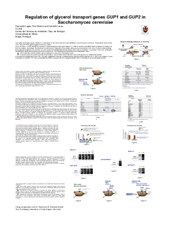 (PDF) Regulation of glycerol transport genes GUP1 and GUP2 in ...