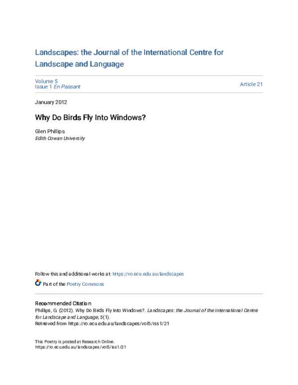 (PDF) Why Do Birds Fly Into Windows