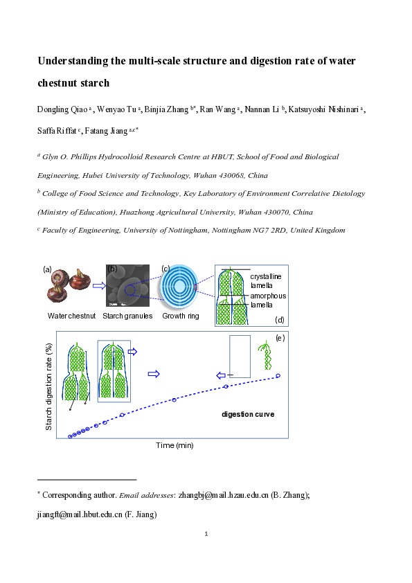 (PDF) Understanding the multi-scale structure and digestion rate of ...