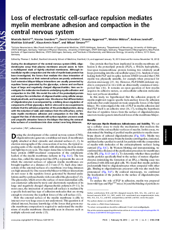 (PDF) Loss of electrostatic cell-surface repulsion mediates myelin ...