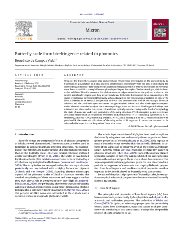 (PDF) Butterfly scale form birefringence related to photonics ...