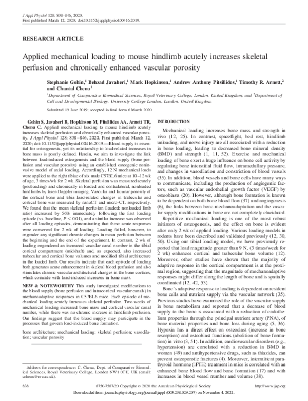 (PDF) Applied mechanical loading to mouse hindlimb acutely increases ...