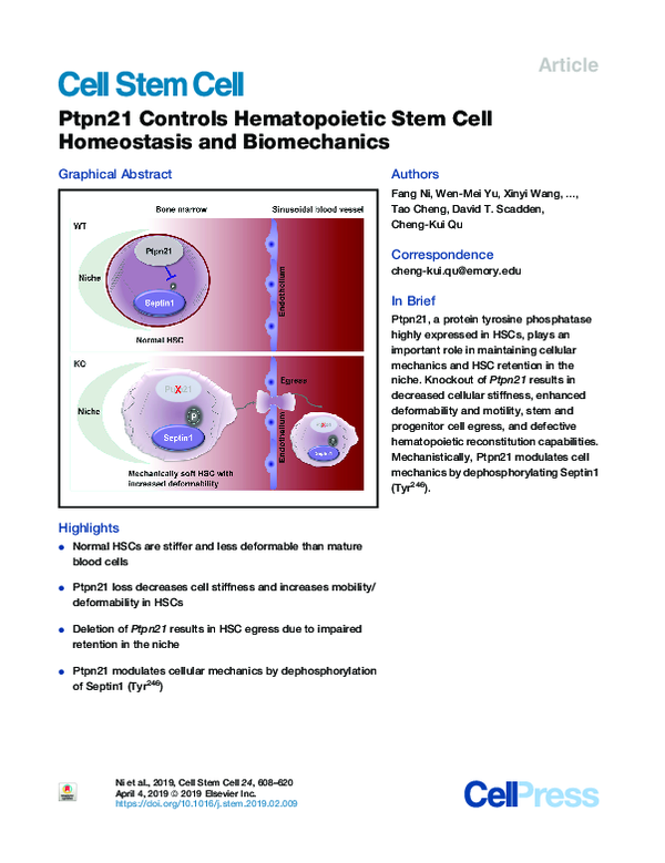 (PDF) Ptpn21 Controls Hematopoietic Stem Cell Homeostasis and Biomechanics