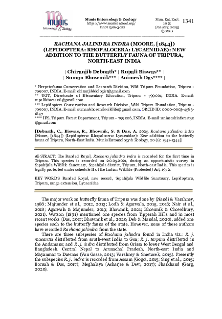 (PDF) RACHANA JALINDRA INDRA (MOORE, [1844]) (LEPIDOPTERA: RHOPALOCERA ...