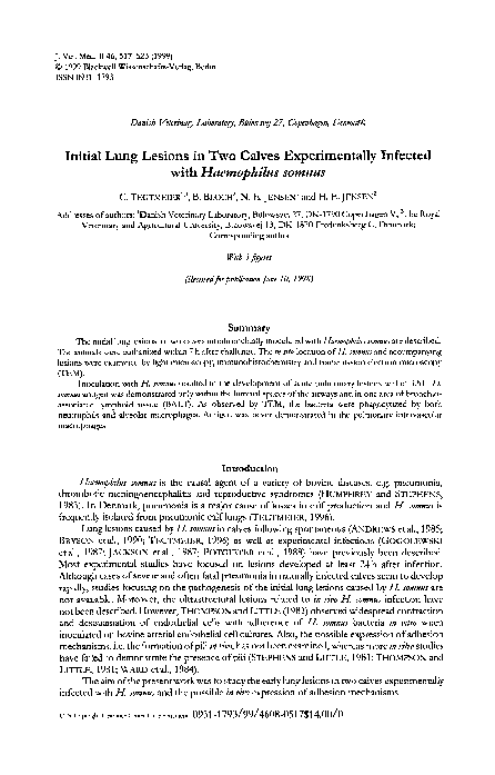 (PDF) Initial Lung Lesions in Two Calves Experimentally Infected with ...