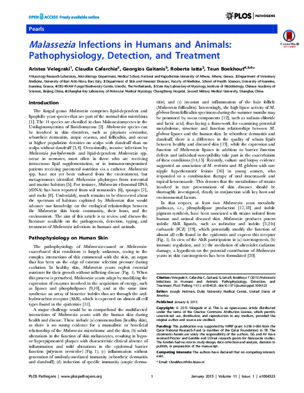 (PDF) Malassezia Infections in Humans and Animals: Pathophysiology ...