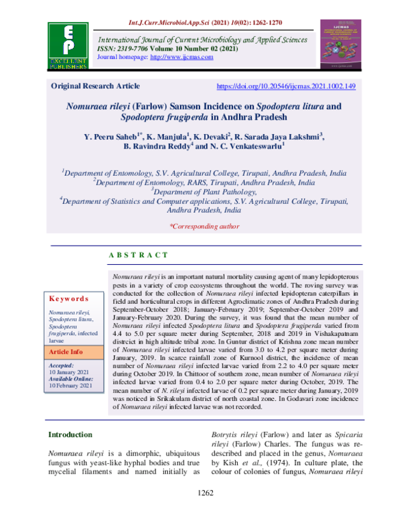 (PDF) Nomuraea rileyi (Farlow) Samson Incidence on Spodoptera litura ...