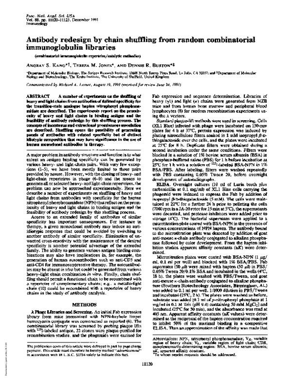 (PDF) Antibody redesign by chain shuffling from random combinatorial ...
