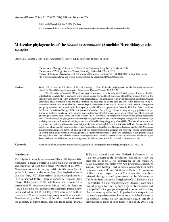 (PDF) Molecular phylogenetics of the Neanthes acuminata (Annelida ...