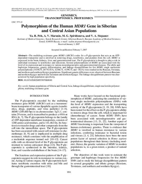 (PDF) Polymorphism of the human MDR1 gene in Siberian and Central Asian ...