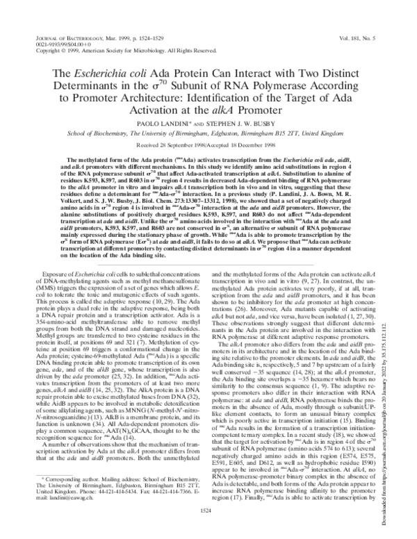 (PDF) The Escherichia coli Ada Protein Can Interact with Two Distinct ...