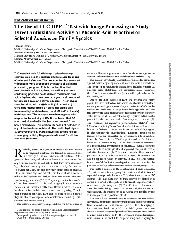 (PDF) The Use of TLC-DPPH• Test with Image Processing to Study Direct ...
