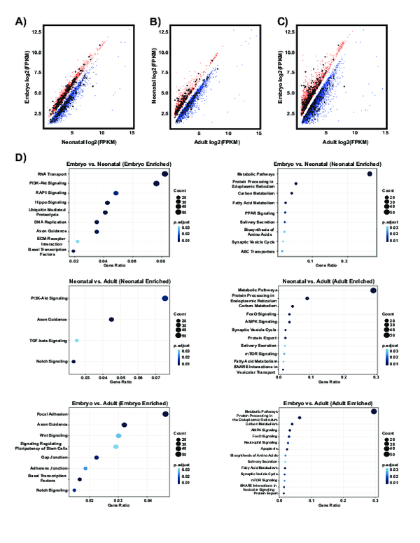(PDF) Additional file 1: Figure S1. of RNA-seq based transcriptomic map ...