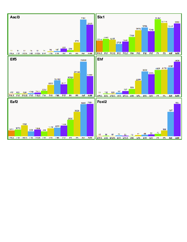 (PDF) Additional file 4: Figure S4. of RNA-seq based transcriptomic map ...