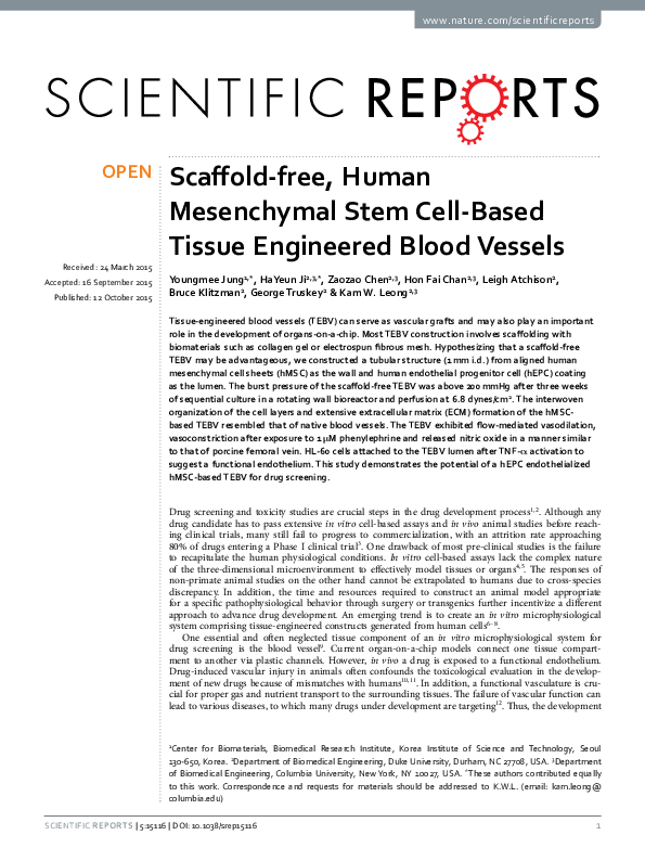 Scaffold-free, Human Mesenchymal Stem Cell-Based Tissue Engineered ...