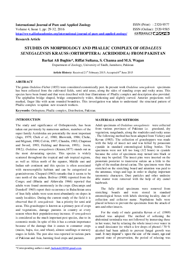 (PDF) Studies on Morphology and Phallic Complex of Oedaleus ...