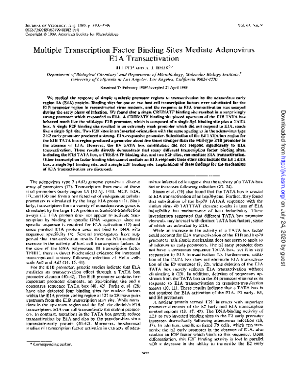 (PDF) Multiple transcription factor binding sites mediate adenovirus ...