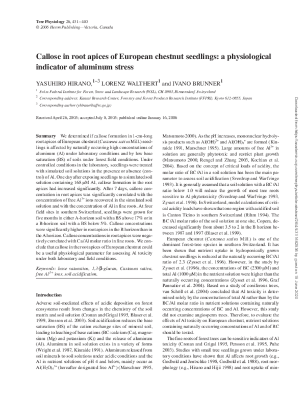 (PDF) Callose in root apices of European chestnut seedlings: a ...