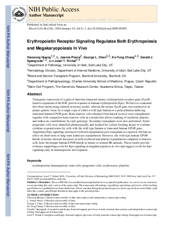 (PDF) Erythropoietin receptor signaling regulates both erythropoiesis ...