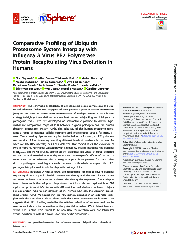(PDF) Comparative Profiling of Ubiquitin Proteasome System Interplay ...