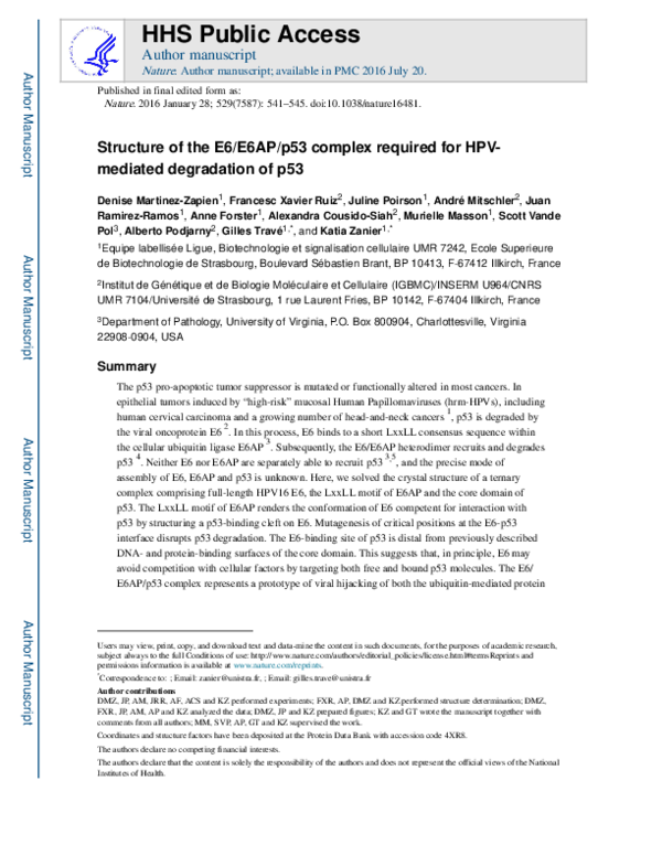 (PDF) Structure of the E6/E6AP/p53 complex required for HPV-mediated ...