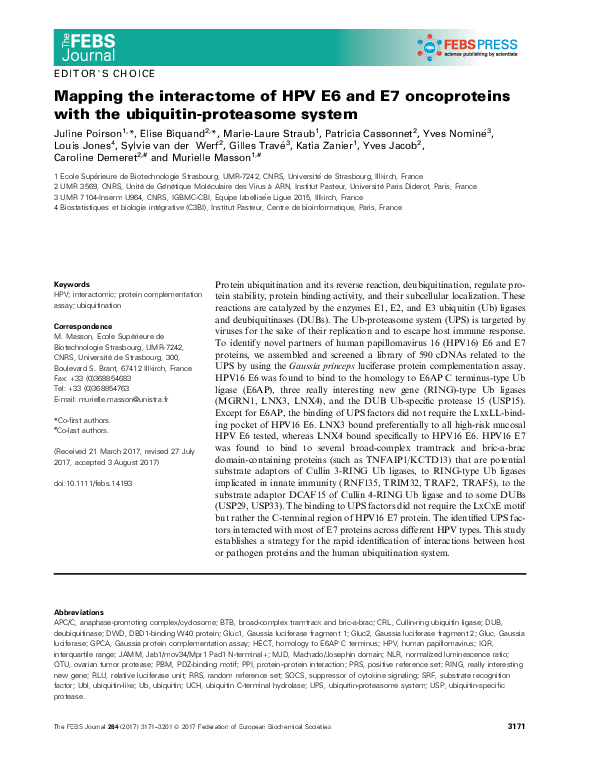 (PDF) Mapping the interactome of HPV E6 and E7 oncoproteins with the ...