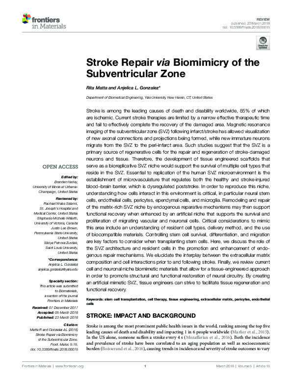 (PDF) Stroke Repair via Biomimicry of the Subventricular Zone