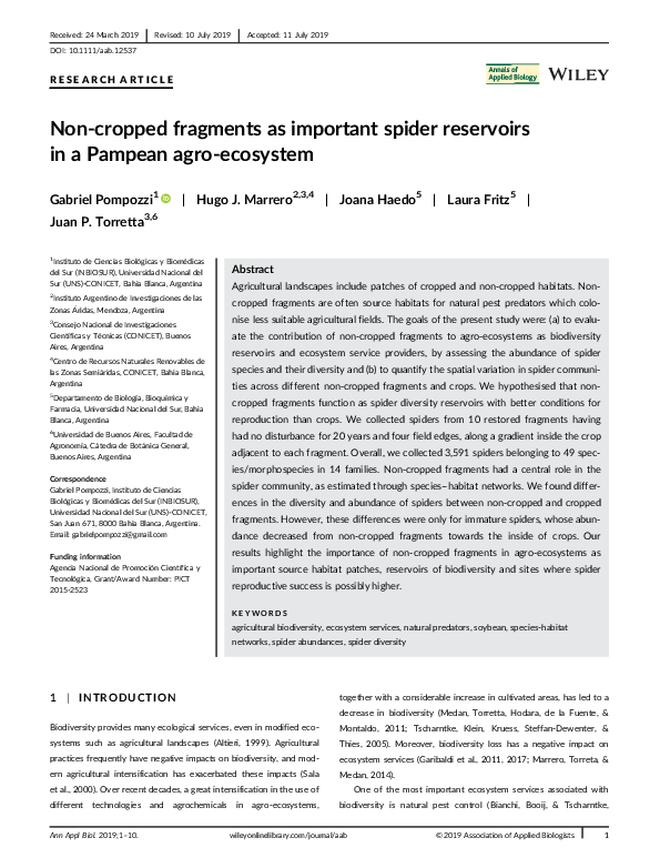 (PDF) Non‐cropped fragments as important spider reservoirs in a Pampean ...
