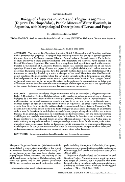 (PDF) Biology of Thrypticus truncatus and Thrypticus sagittatus ...