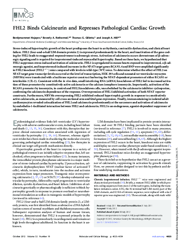 (PDF) FHL2 Binds Calcineurin and Represses Pathological Cardiac Growth