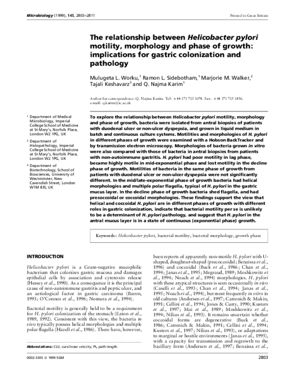 (PDF) The relationship between Helicobacter pylori motility, morphology and phase of growth ...