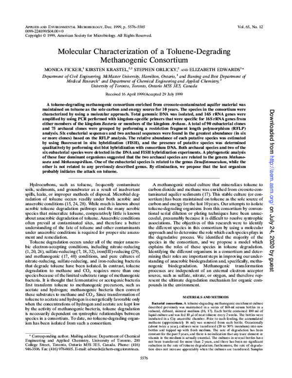 (PDF) Molecular Characterization of a Toluene-Degrading Methanogenic Consortium