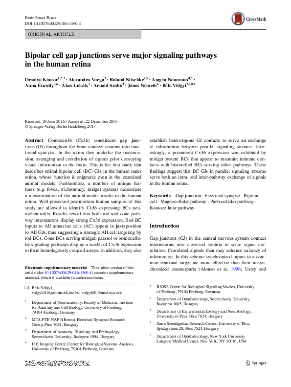 (PDF) Bipolar cell gap junctions serve major signaling pathways in the ...