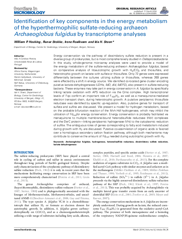 (PDF) Identification of key components in the energy metabolism of the ...