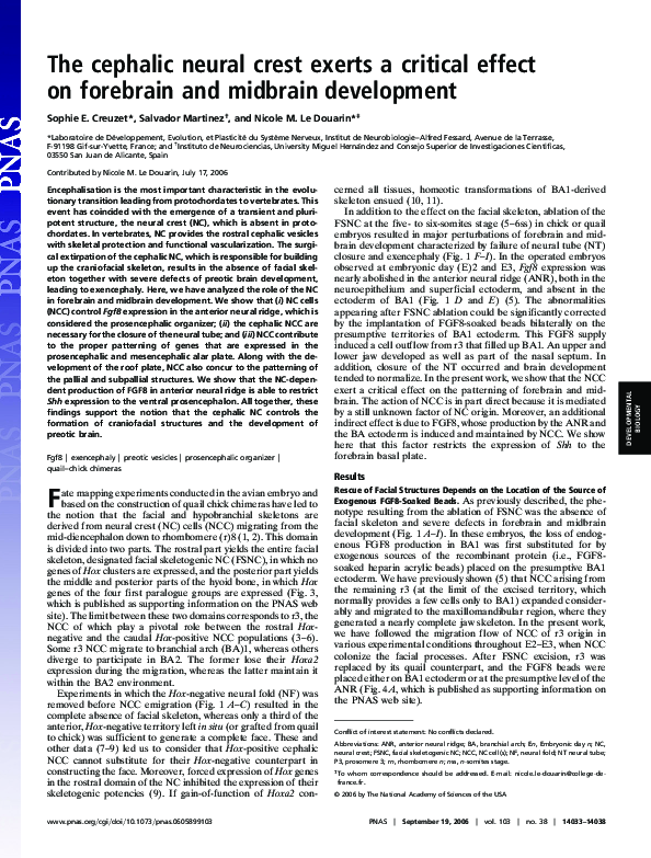(PDF) The cephalic neural crest exerts a critical effect on forebrain ...