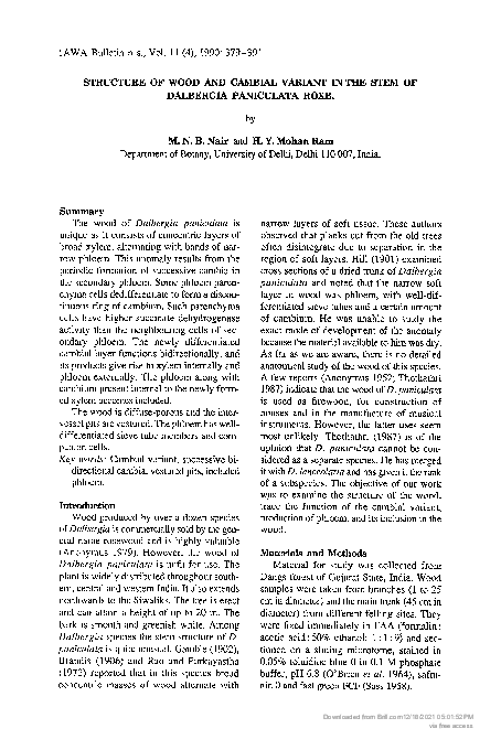 (PDF) Structure of Wood and Cambial Variant in the Stem of Dalbergia ...