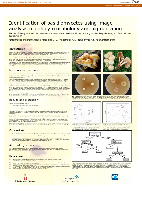 (PDF) Identification of basidiomycetes using image analysis of pigments ...