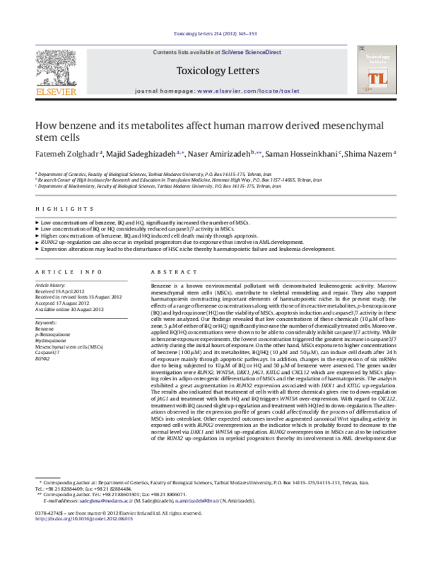 (PDF) How benzene and its metabolites affect human marrow derived ...