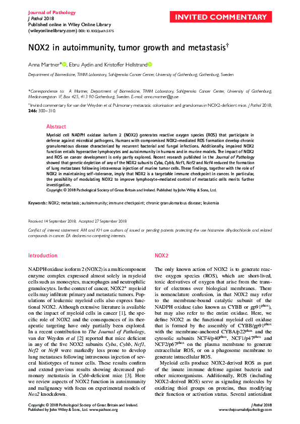(PDF) NOX2 in autoimmunity, tumor growth and metastasis
