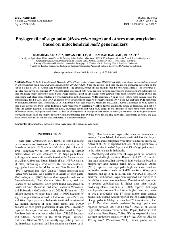 (PDF) Phylogenetic of sago palm (Metroxylon sagu) and others monocotyledon based on ...