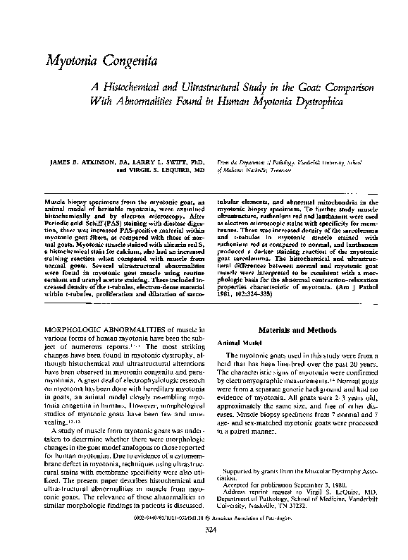 (PDF) Myotonia congenita. A histochemical and ultrastructural study in ...