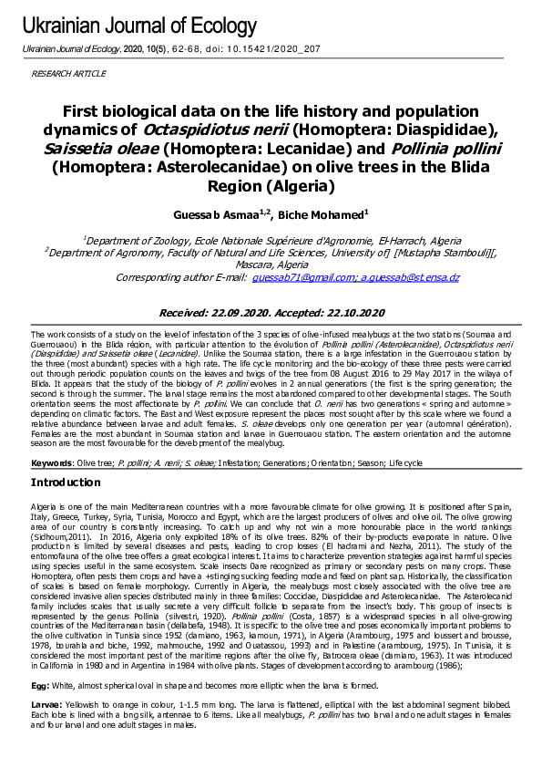 (PDF) Life history and population dynamics of Aspidiotus nerii (Bouche ...