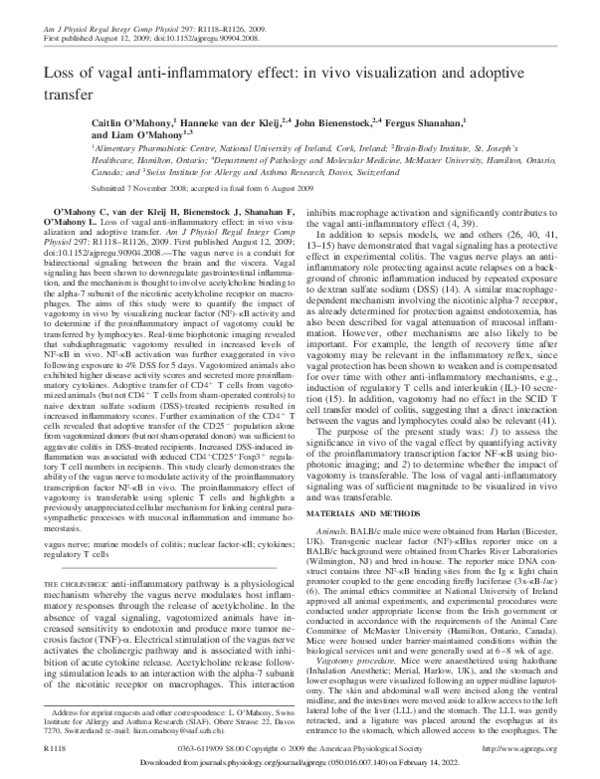 (PDF) Loss of vagal anti-inflammatory effect: in vivo visualization and ...