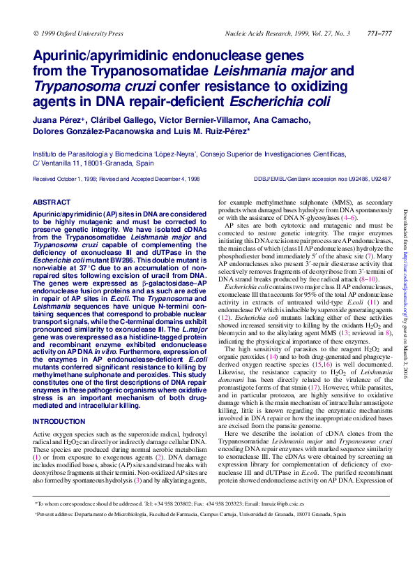 (PDF) Apurinic/apyrimidinic endonuclease genes from the ...