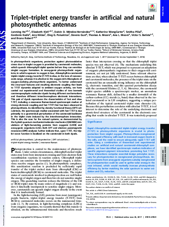 (PDF) Triplet-triplet energy transfer in artificial and natural photosynthetic antennas