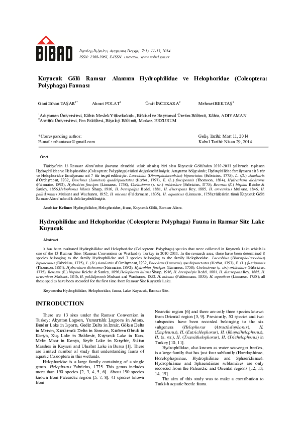 (PDF) Kuyucuk Gölü Ramsar Alanının Hydrophilidae ve Helophoridae ...